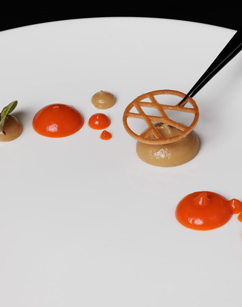 GOYA - Restaurant Montpellier